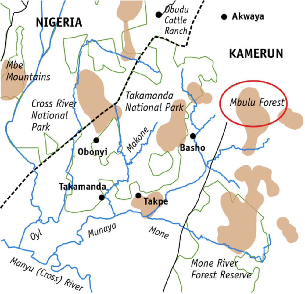 Mbulu - Berggorilla & Regenwald Direkthilfe e.V.